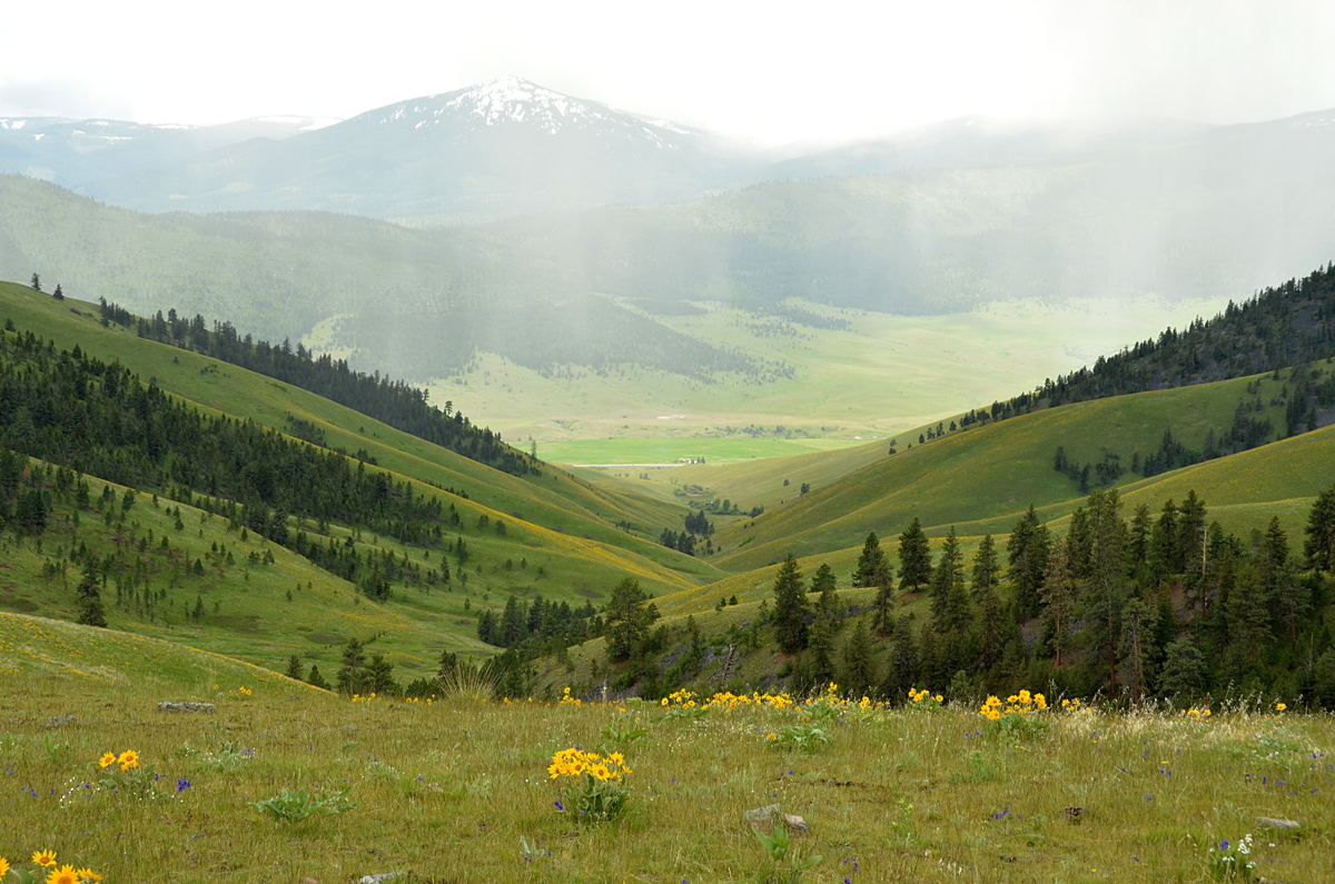 The National Bison Range – Larkey Skip
